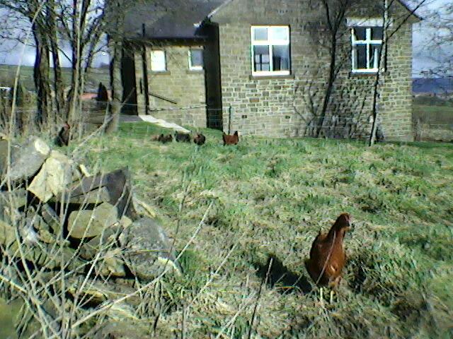 Picture Gallery | Laycock Village Hall
